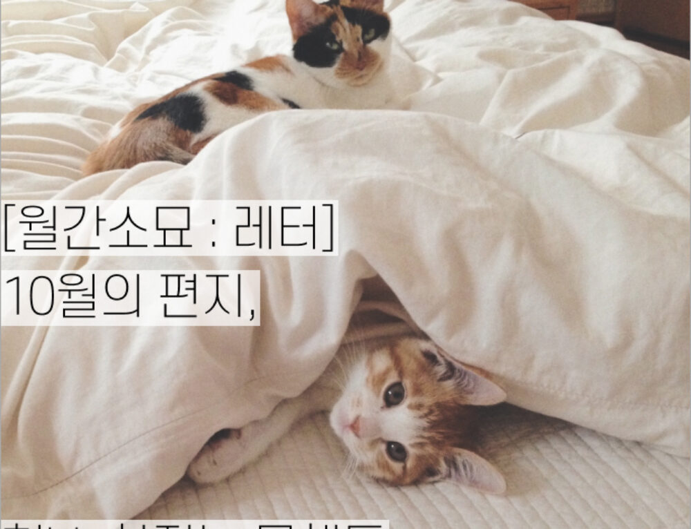 월간소묘 레터 1월의 편지 새삼 새 마음 오후의 소묘